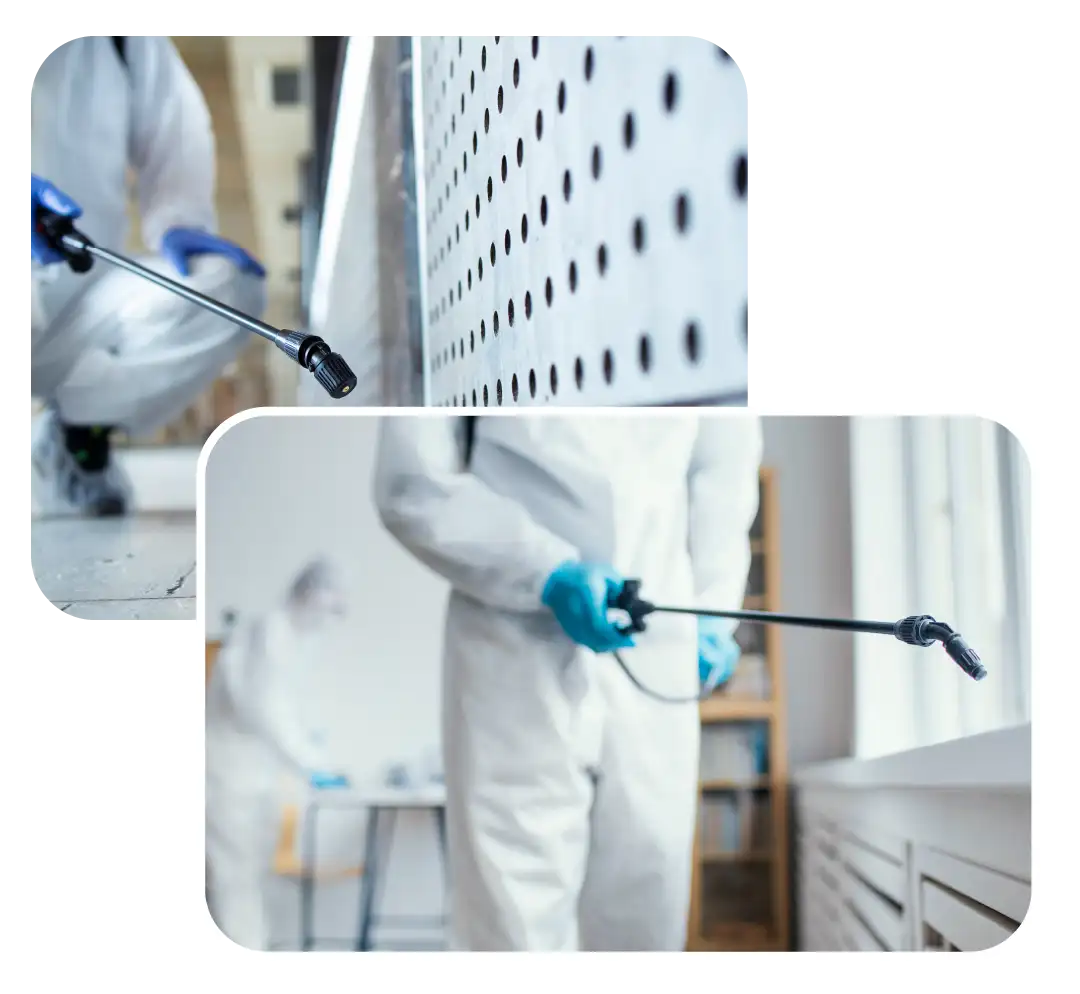 Environmental Safety Consulting - bepenvironmental