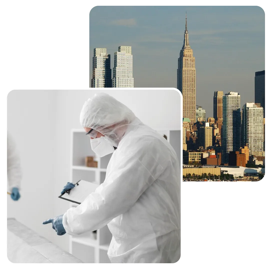 Mold Inspection and Testing - BEP Environmental